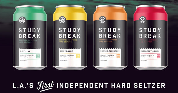 Nationwide Shipping - Study Break Hard Seltzer